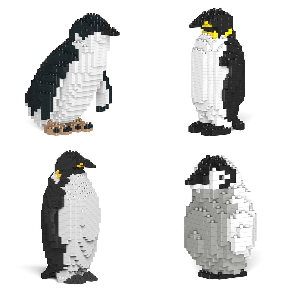 Bird – JEKCA Global