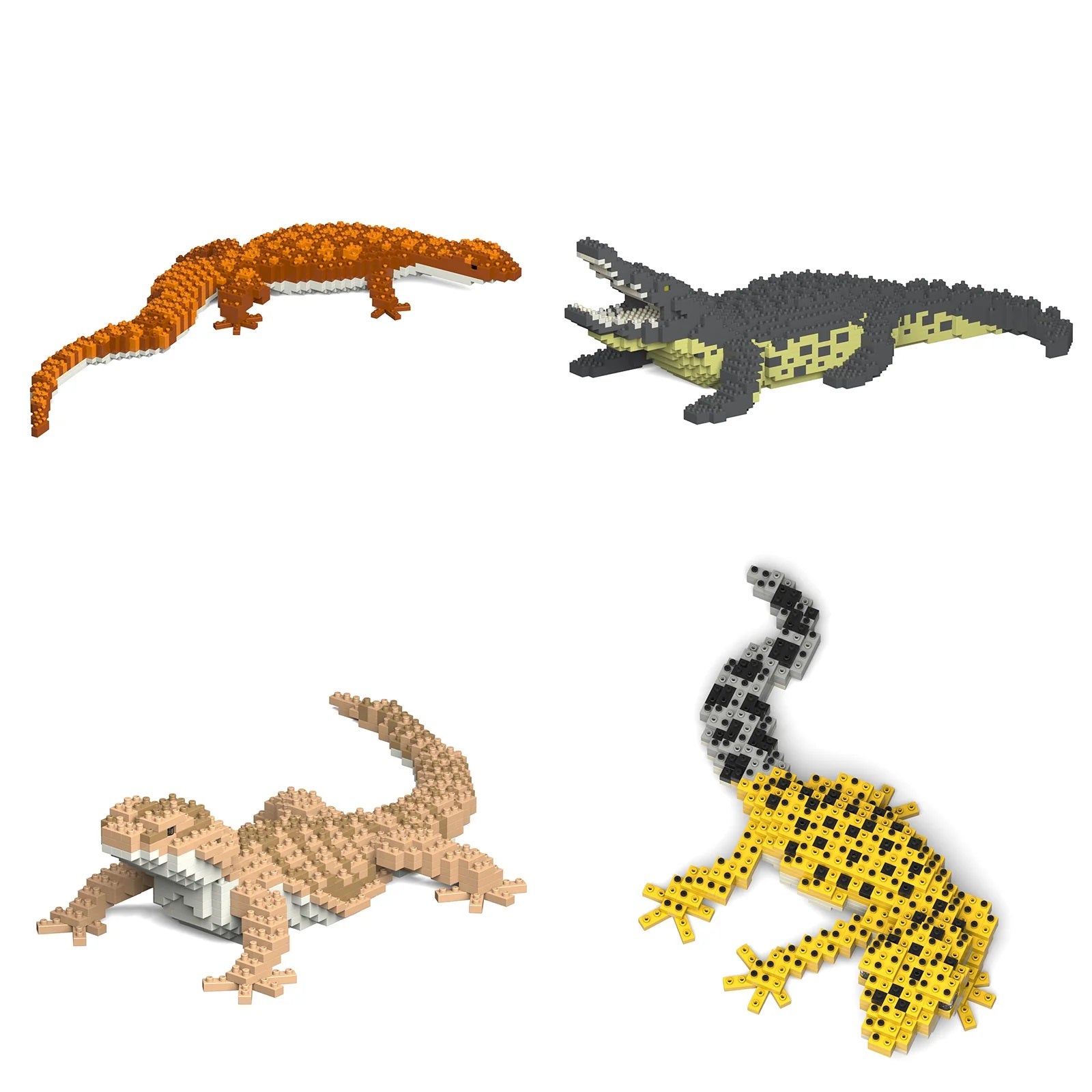 Animal – JEKCA Global