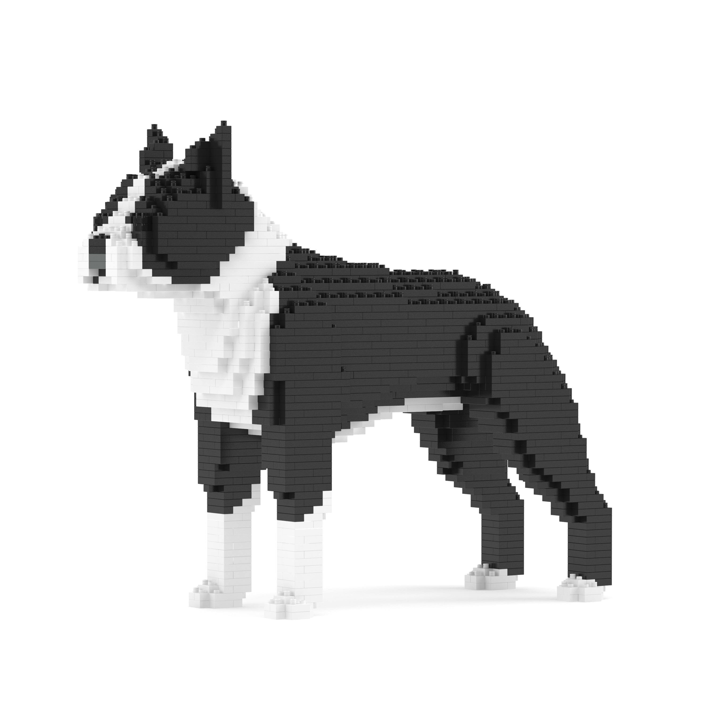 Dogs – JEKCA Global