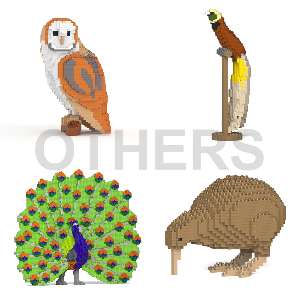 Bird – JEKCA Global